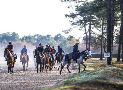 Ecurie CH Ferland | Centre d'entraînement chevaux de course